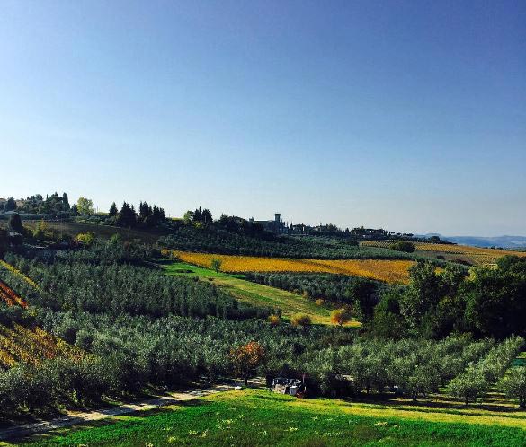 Montespertoli - Vivere La Toscana